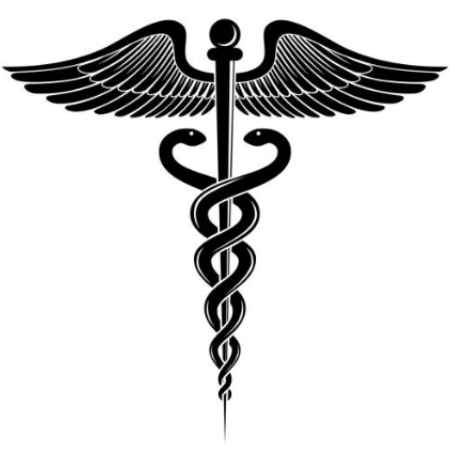 PARAMEDIA VIDEO - GoreSee - Death is Watching over You