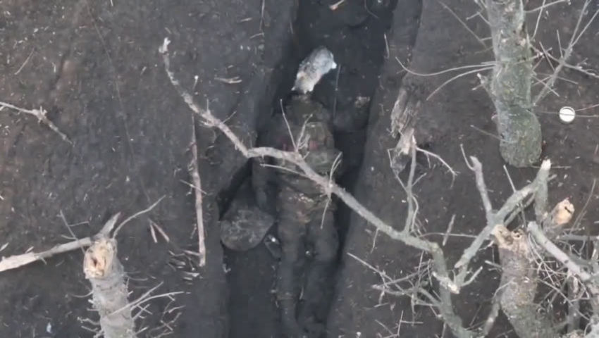 headless soldier corpse gets eaten by cat - GoreSee - Death is Watching ...