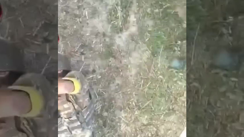 hoholbody 2 - GoreSee - Death is Watching over You