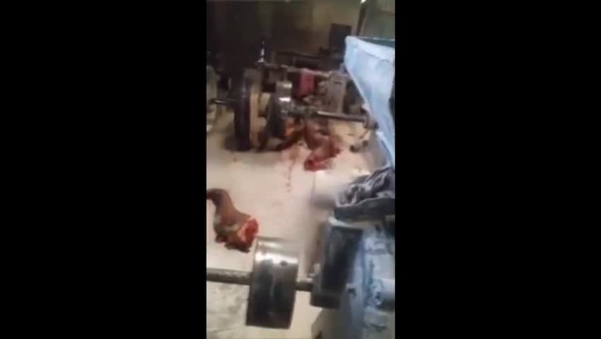 Victim of industrial heavy machinery!!😳 - GoreSee - Death is Watching ...