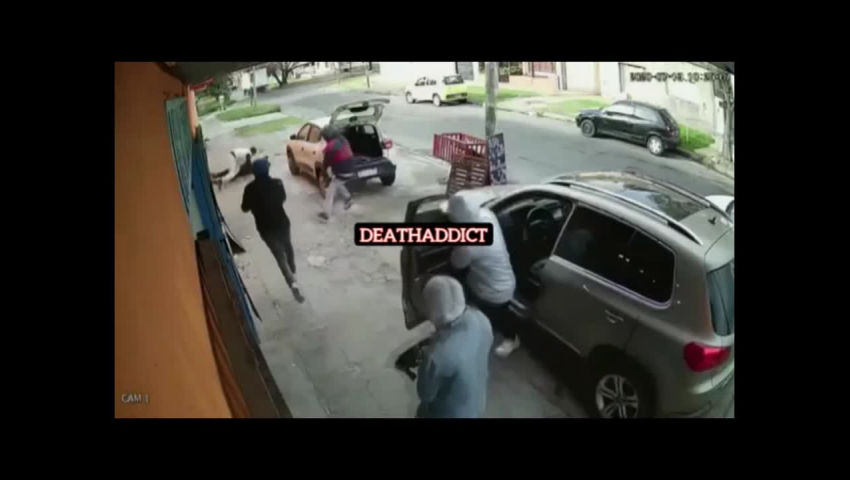 (compilation) cartel - GoreSee - Death is Watching over You