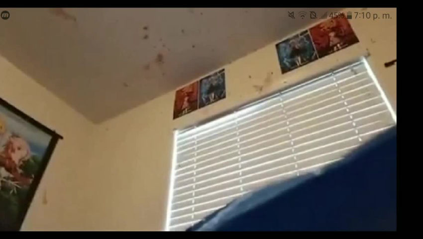 Shuaiby Shotgun Vid - GoreSee - Death is Watching over You