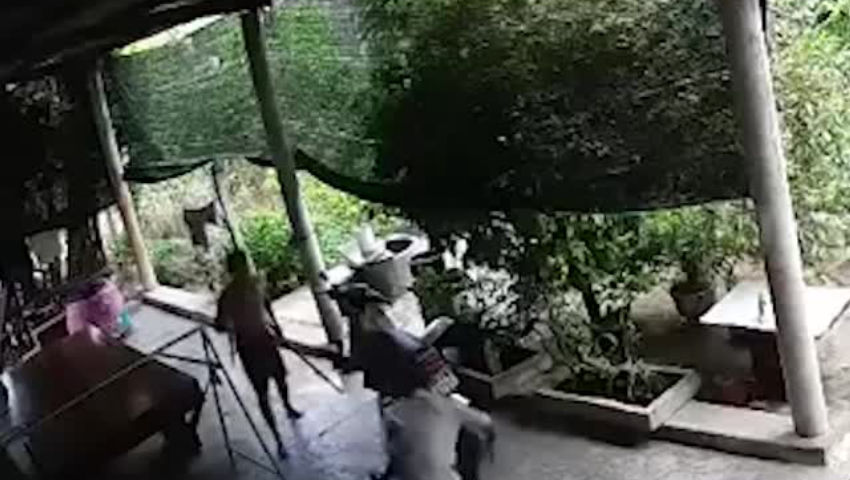 Neighbors surprise 🤓 - GoreSee - Death is Watching over You