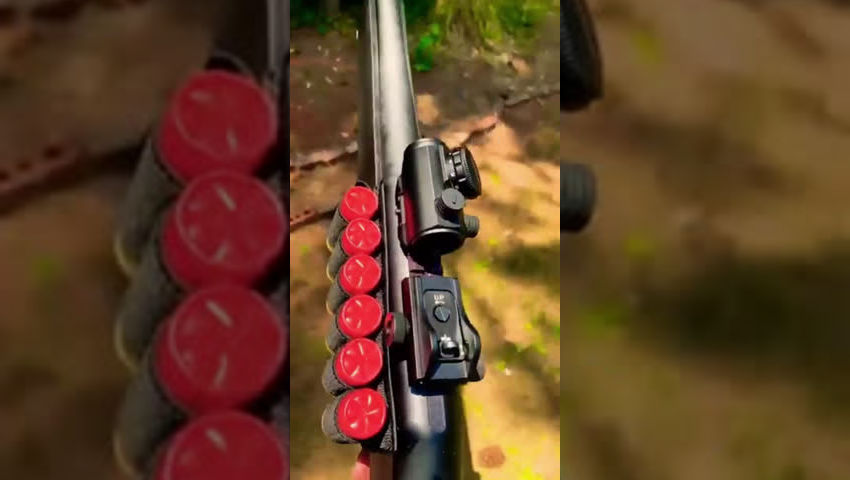 Neverita Christchurch meme - GoreSee - Death is Watching over You