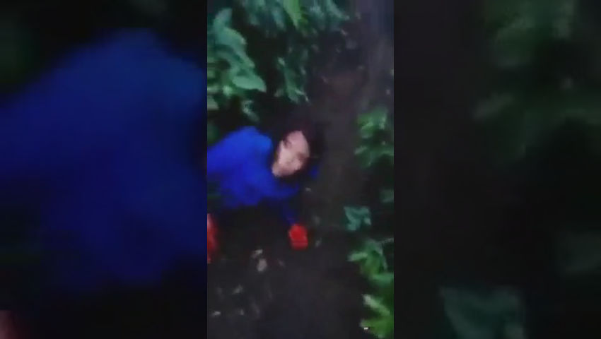 GREEN HELL - GoreSee - Death is Watching over You