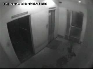 1 girl 99 stomps - GoreSee - Death is Watching over You