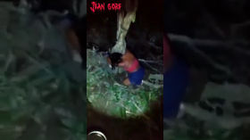 GoreSee - Death is Watching over You