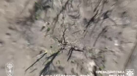 GoreSee - Death is Watching over You